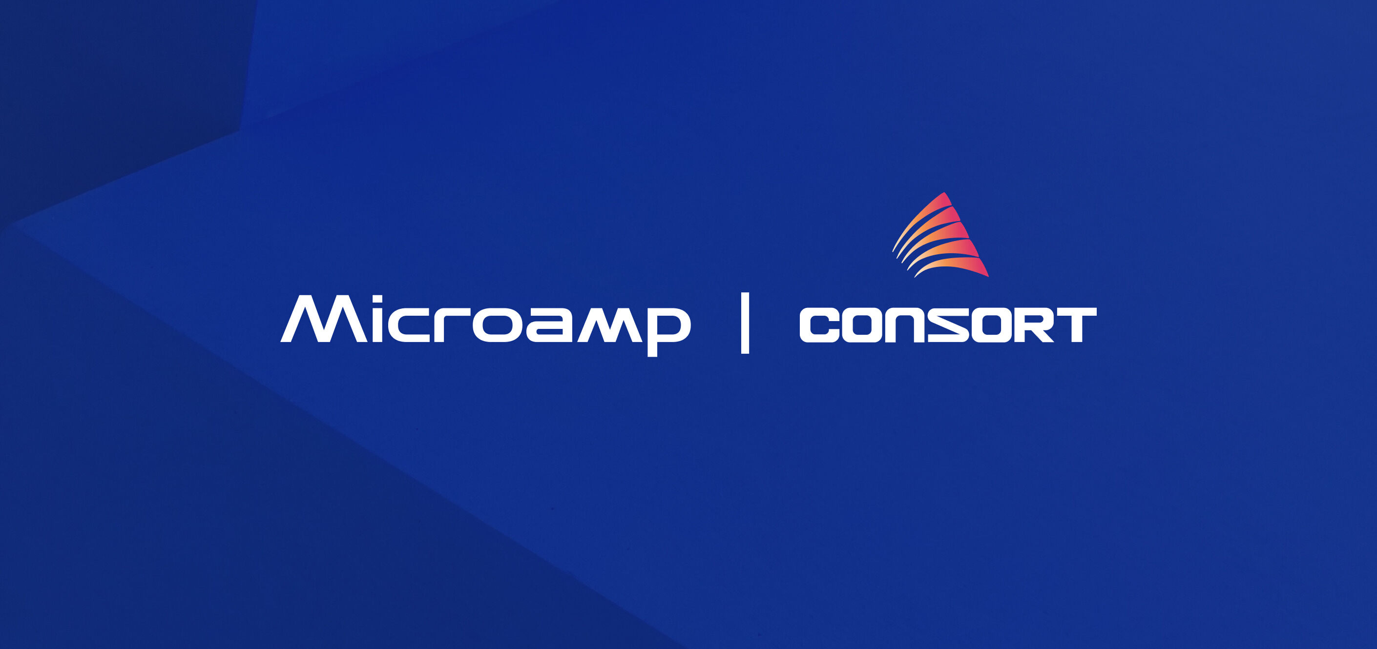 Microamp and Consort Digital Partner for Mission-critical Networks